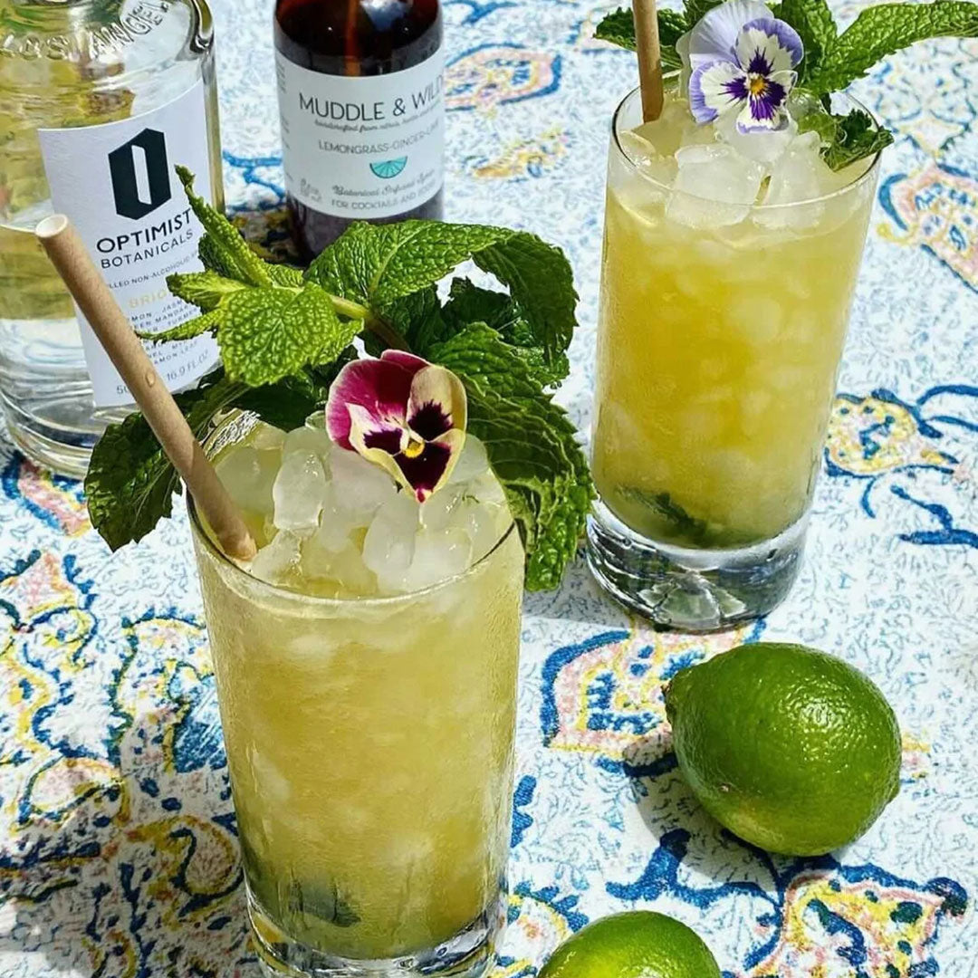 A BRIGHT RAPPORT – Optimist Drinks