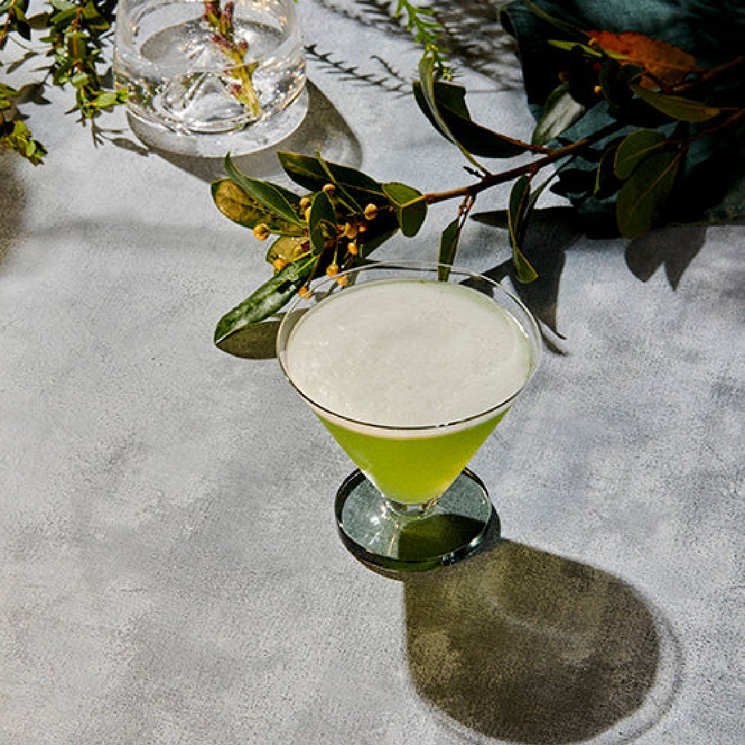THE VERDIGO – Optimist Drinks